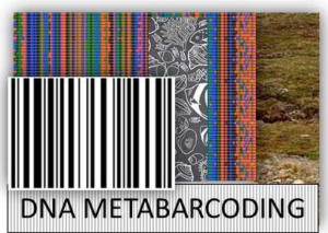 DNA Metabarcoding – data processing and interpretation – MARLIN